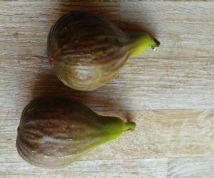 Spidskålssalat med æble og friske figner – Vennerstroem.dk